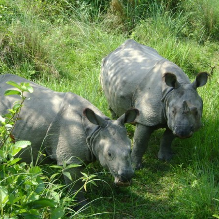 Mollem National Park & Bhagwan Mahavir Wildlife Sanctuary – Radha House ...