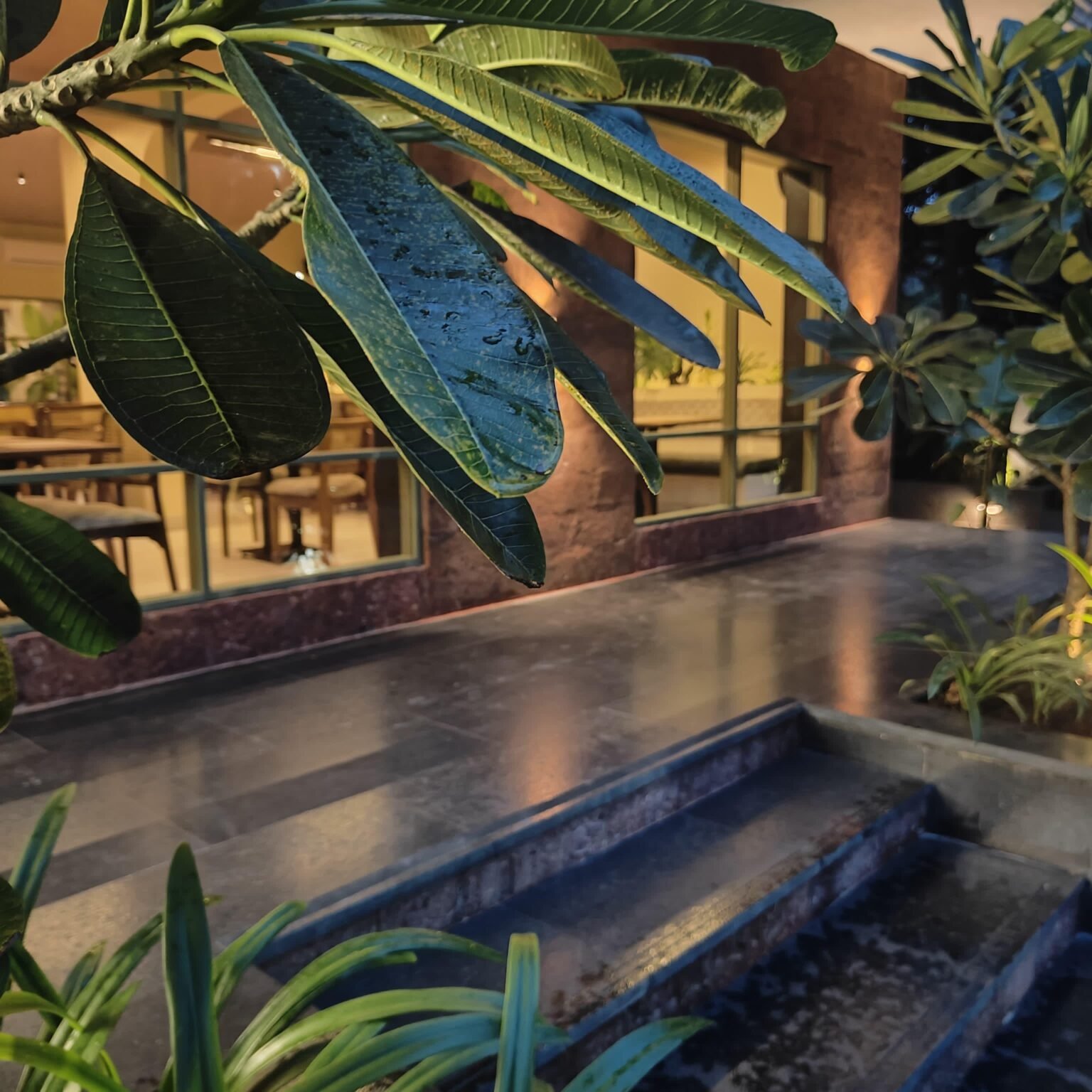 Radha House Siolim – STAY | DINE | UNWIND